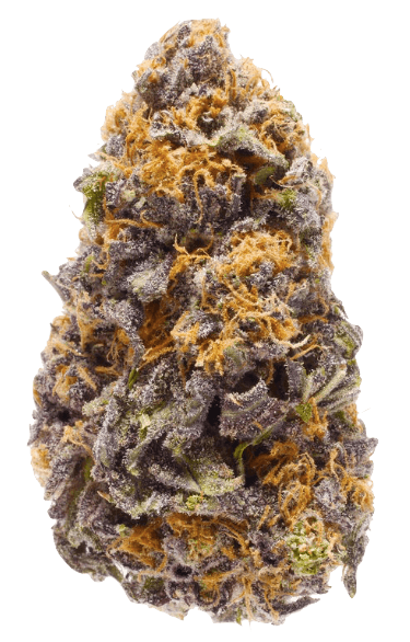 Granddaddy Purple | Gotham Medical and Rec Dispensary