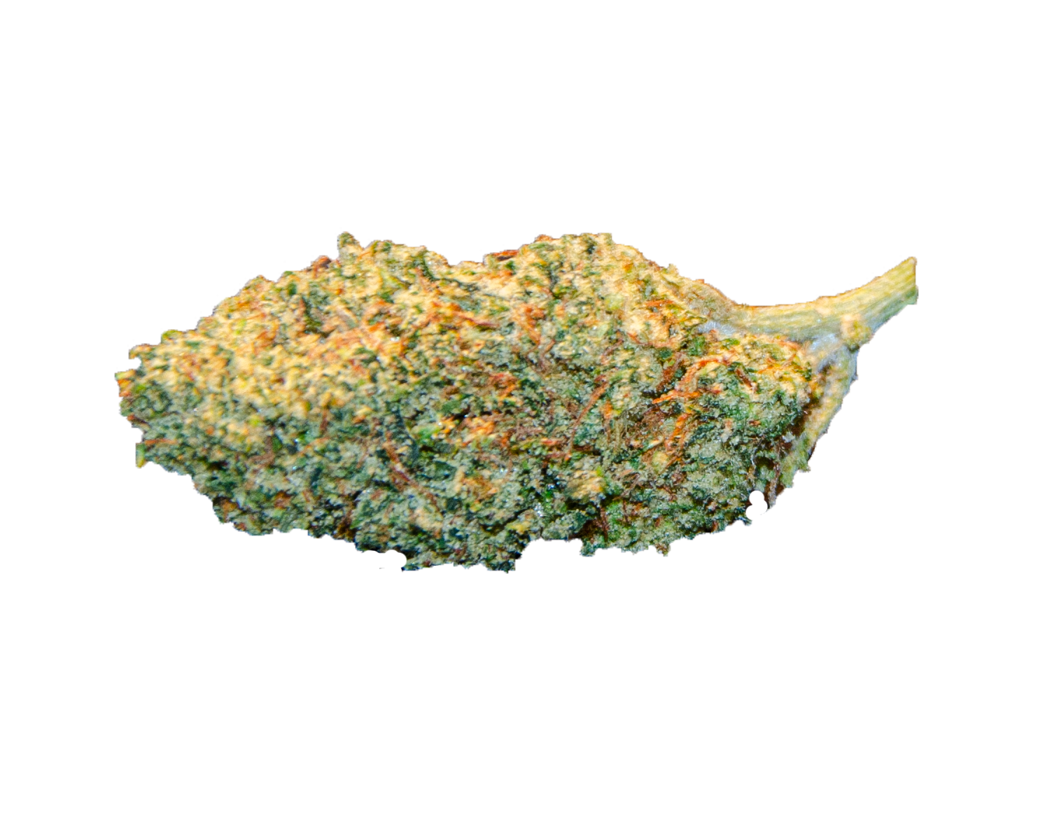 SUPER SOUR DIESEL X MARATHON OG - Gotham Medical and Rec Dispensary