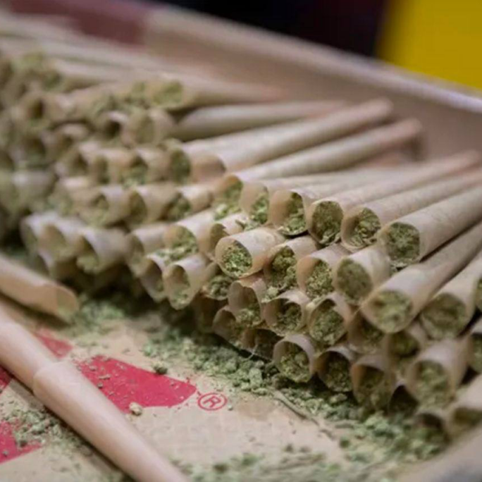 Premium Weed Pre Rolls Gothammeds Dispensary