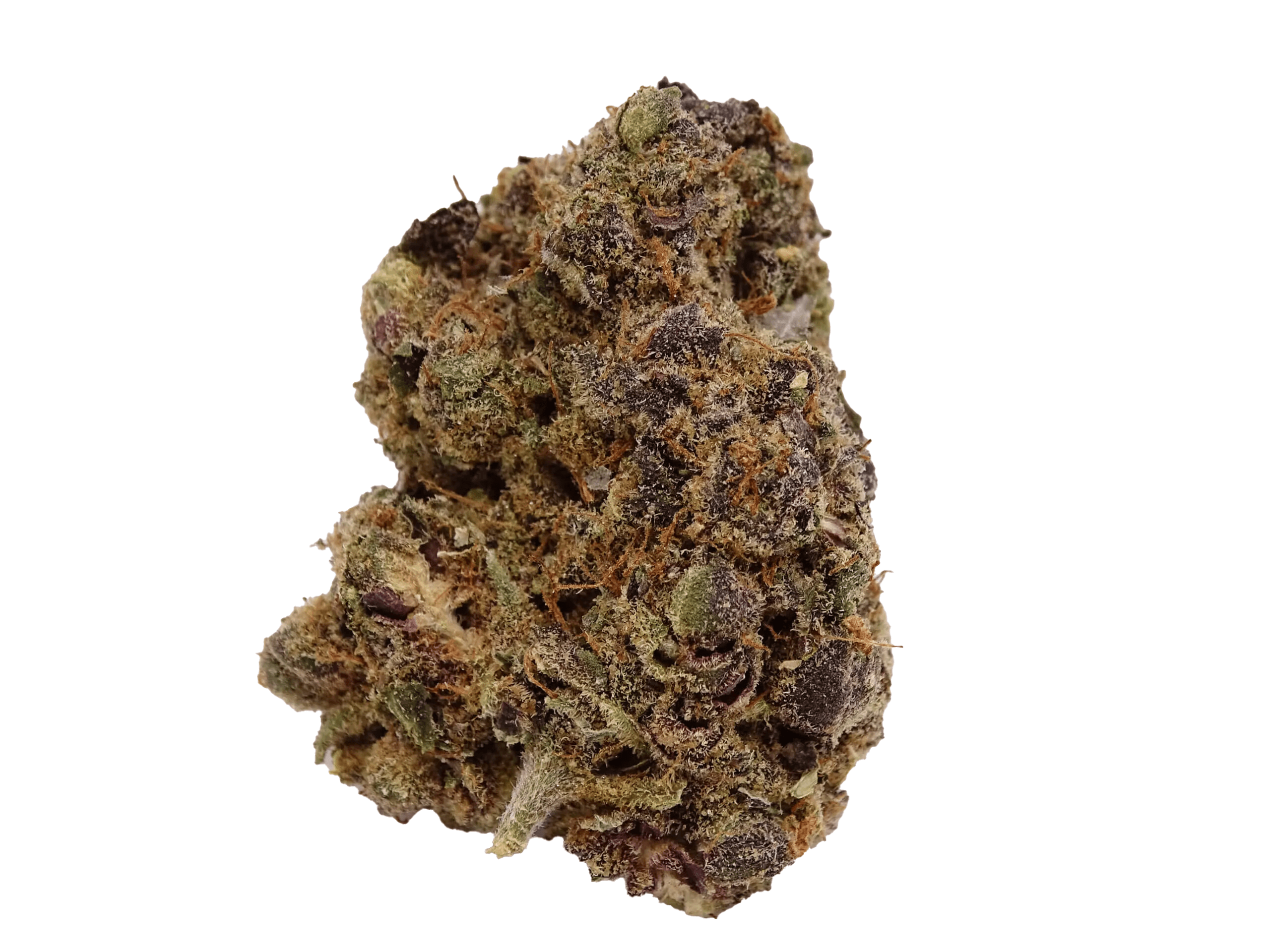 MOTHERS HASH PLANT (SATIVA) OZ SPECIAL - Gotham Medical and Rec Dispensary