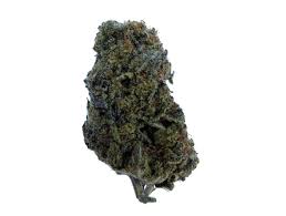 DAILY GRAPE (INDICA HYBRID) OZ SPECIAL - Gotham Medical and Rec Dispensary