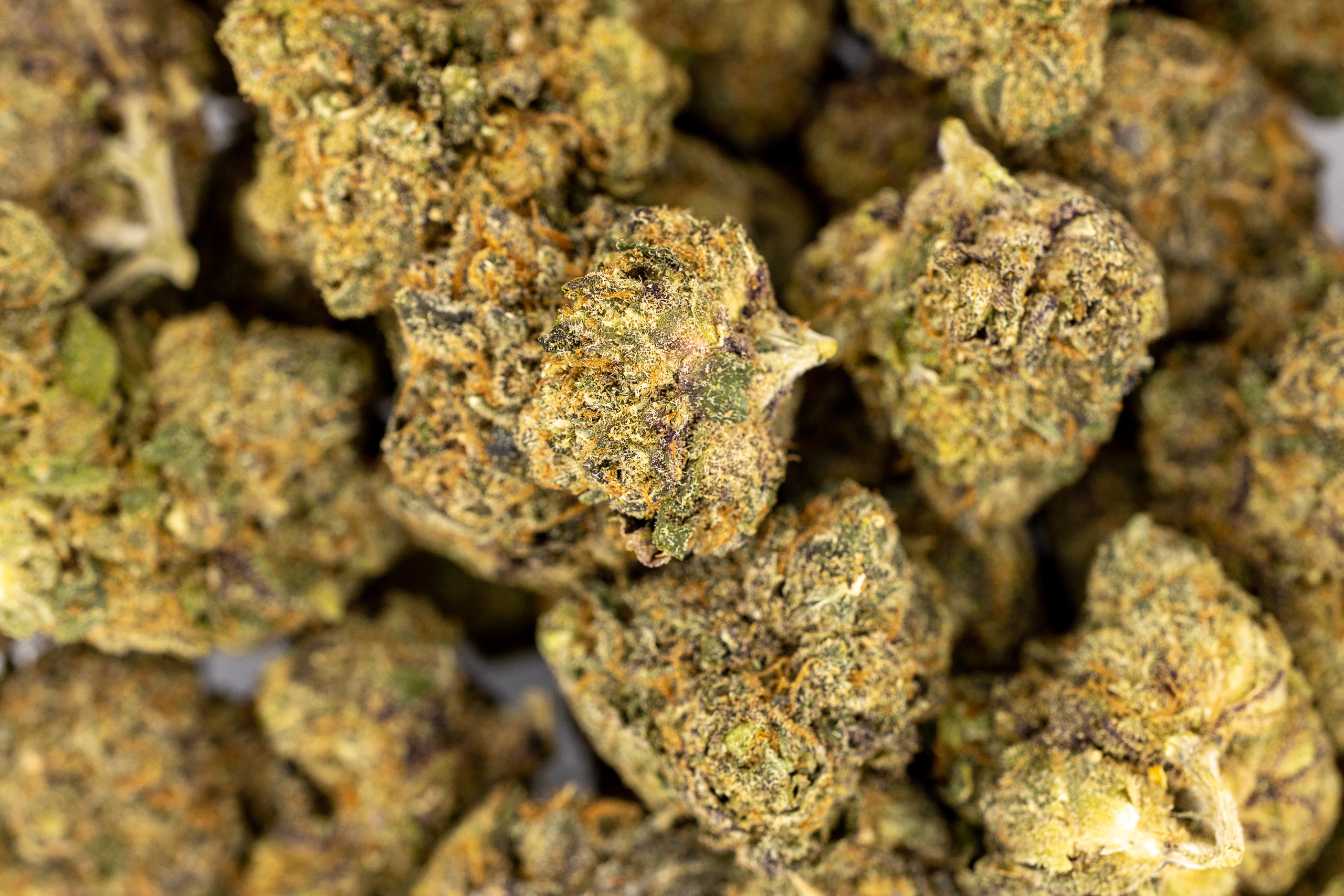 RUNTZ X WHITE RUNTZ (INDICA HYBRID) - OZ SPECIAL - Gotham Medical and ...